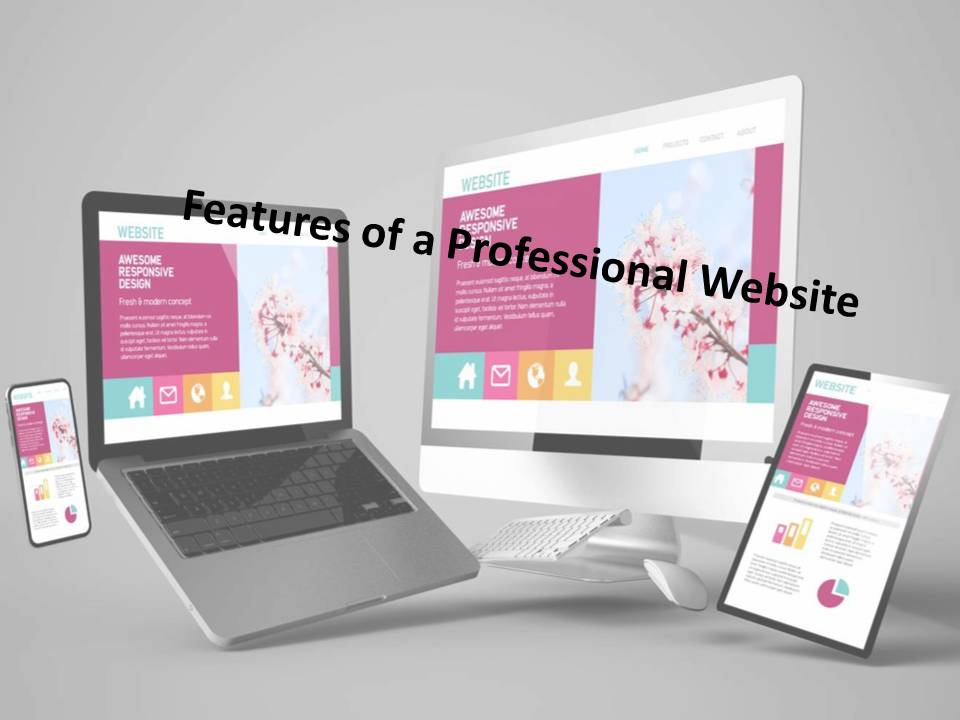 Features of a professional websites - AFRINNOVATORS